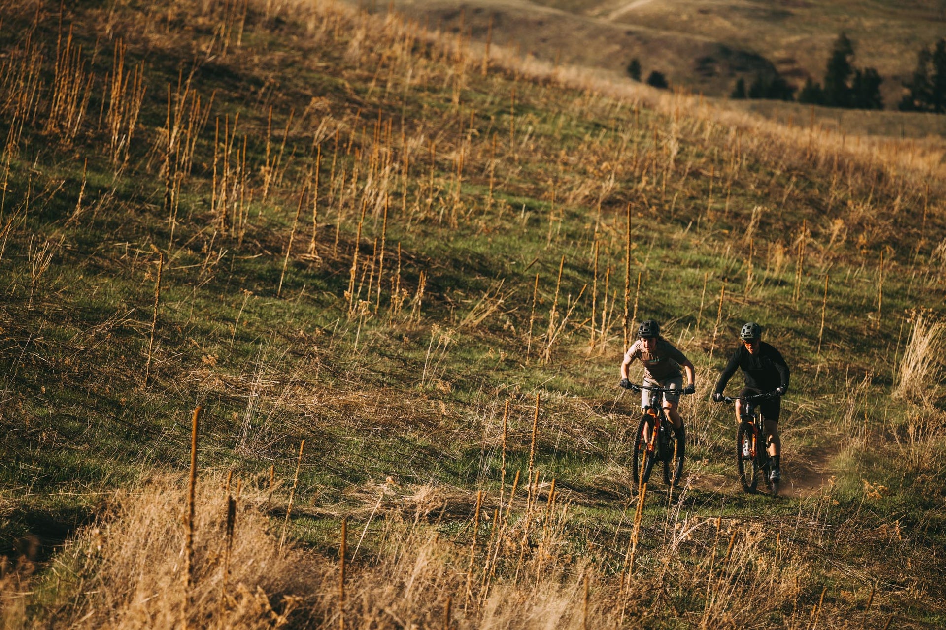 Cross Country - XC bikes | Rocky Mountain